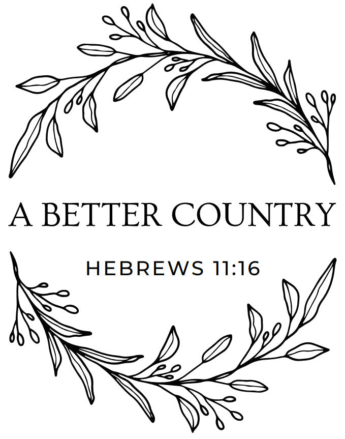 A Better Country | Shop – A Better Country, LLC